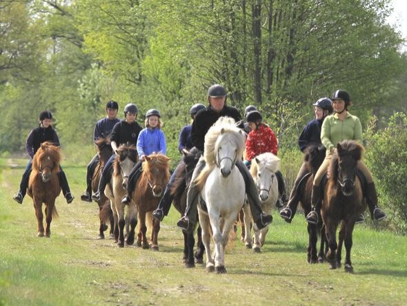 Reiterurlaub mit Islandpferden